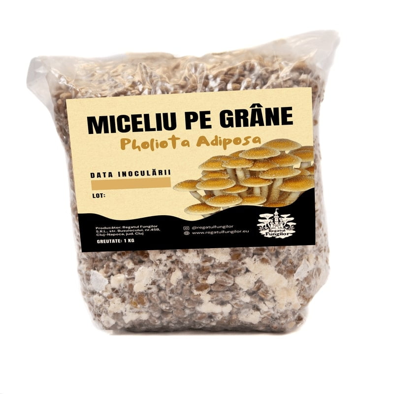 Ciuperci exotice comestibile și medicinale, kituri creștere ciuperci ...